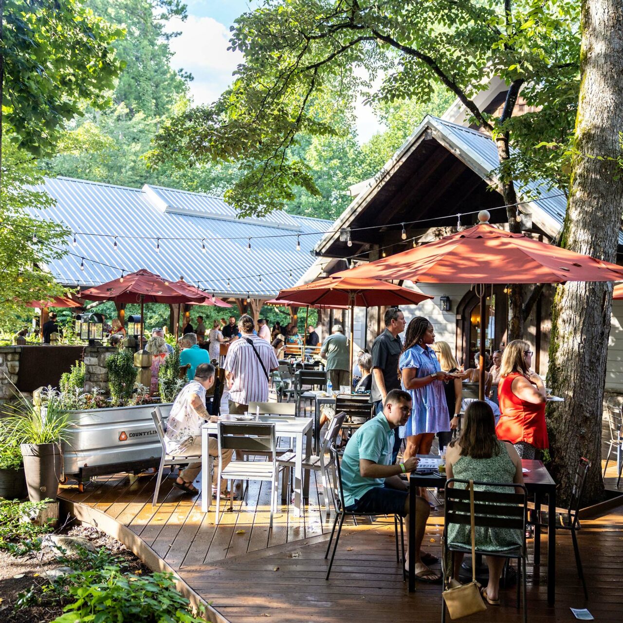 Appalachian Homecoming - Explore Townsend